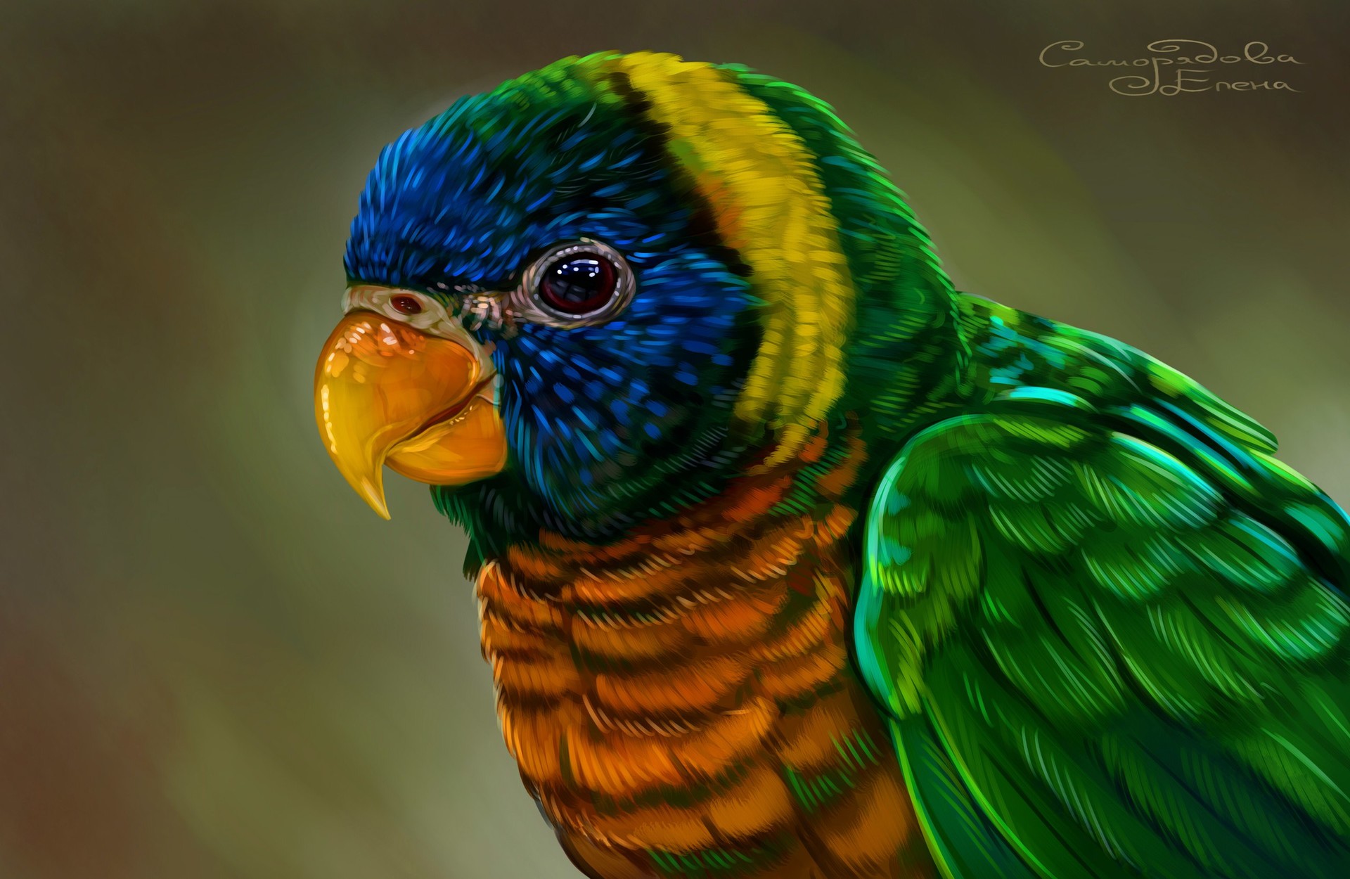 ArtStation - parrots
