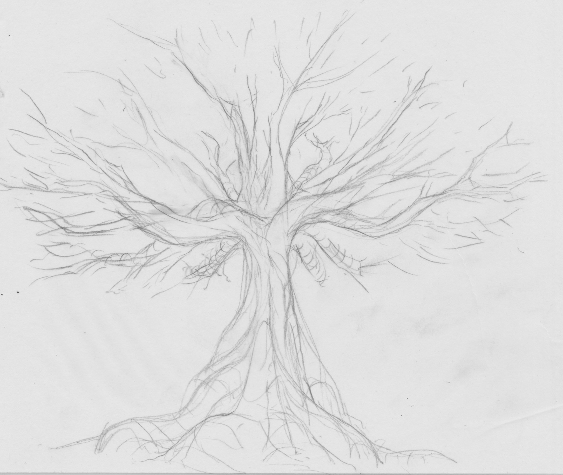 Tree On Fire Pencil Drawing