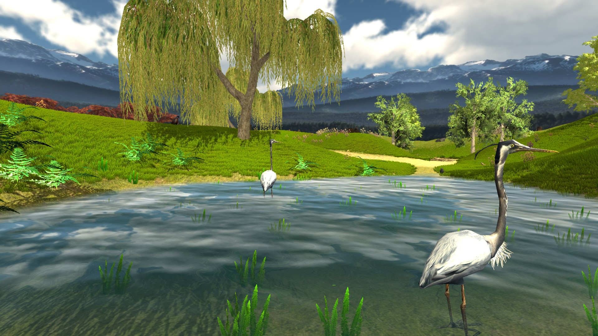 Justin Thrailkill - Grasslands level for bird call game in Unity