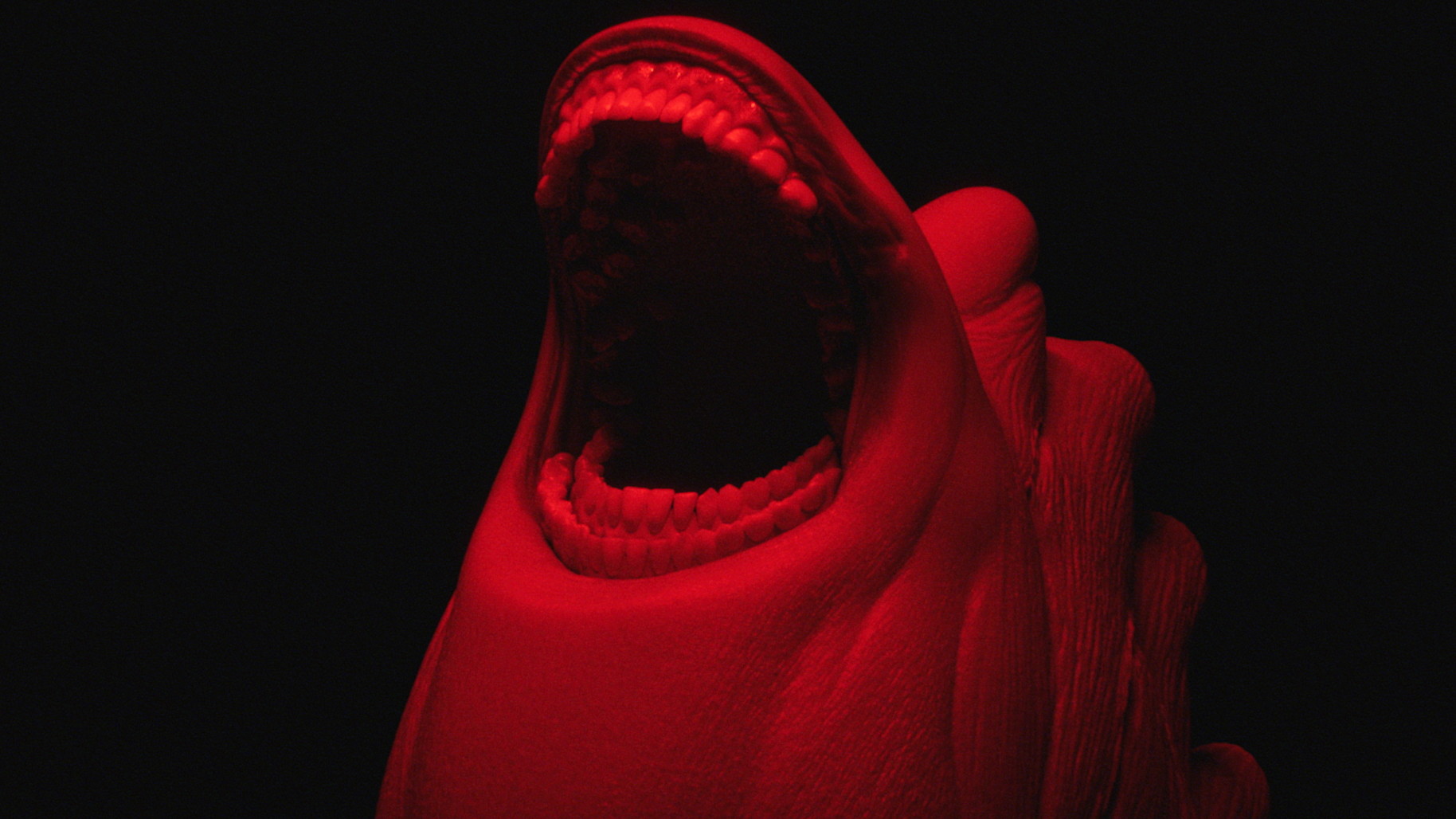 Red . - Tallman/Beluga