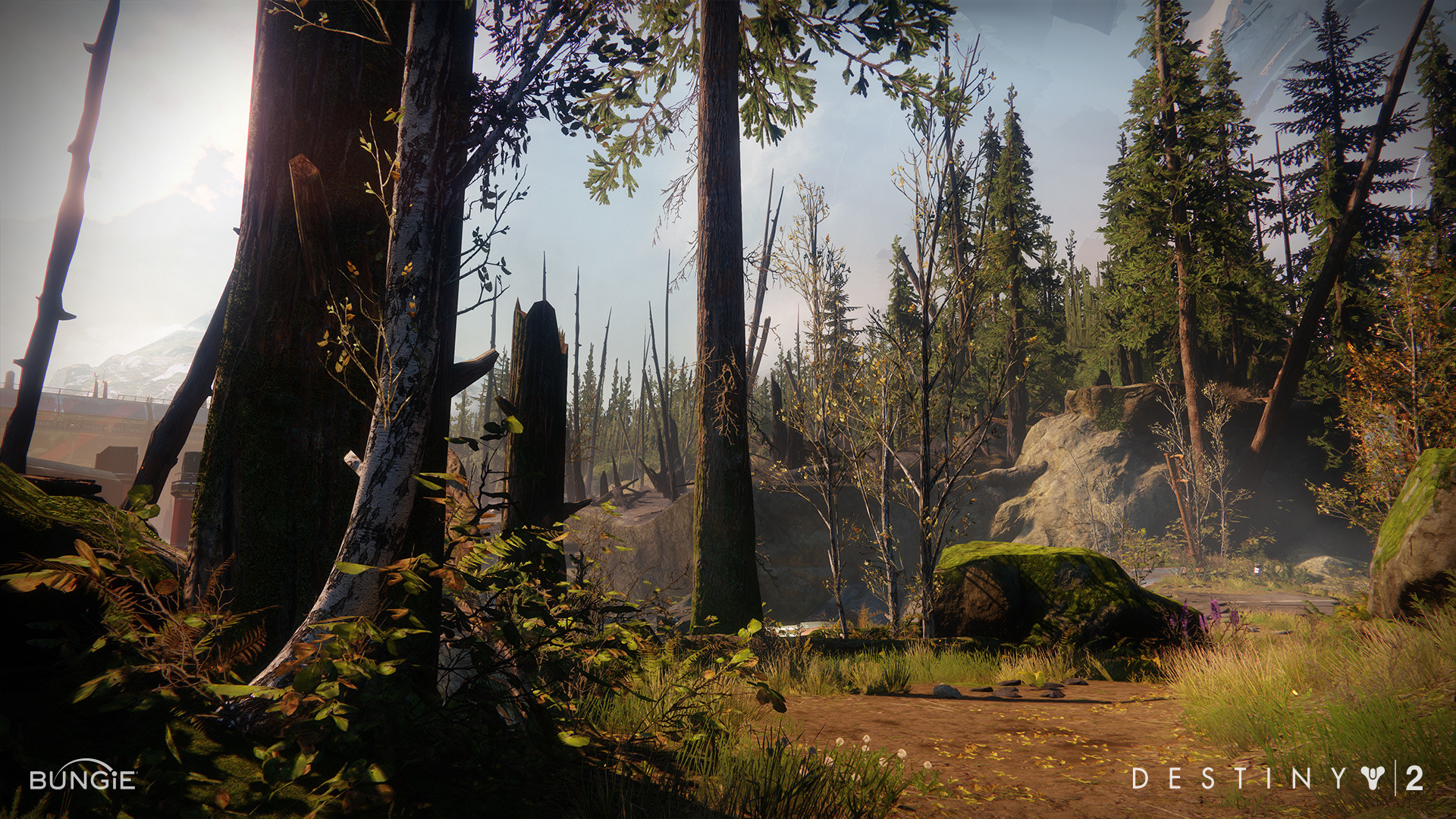 Steven Klipowicz - Destiny 2 EDZ Vegetation