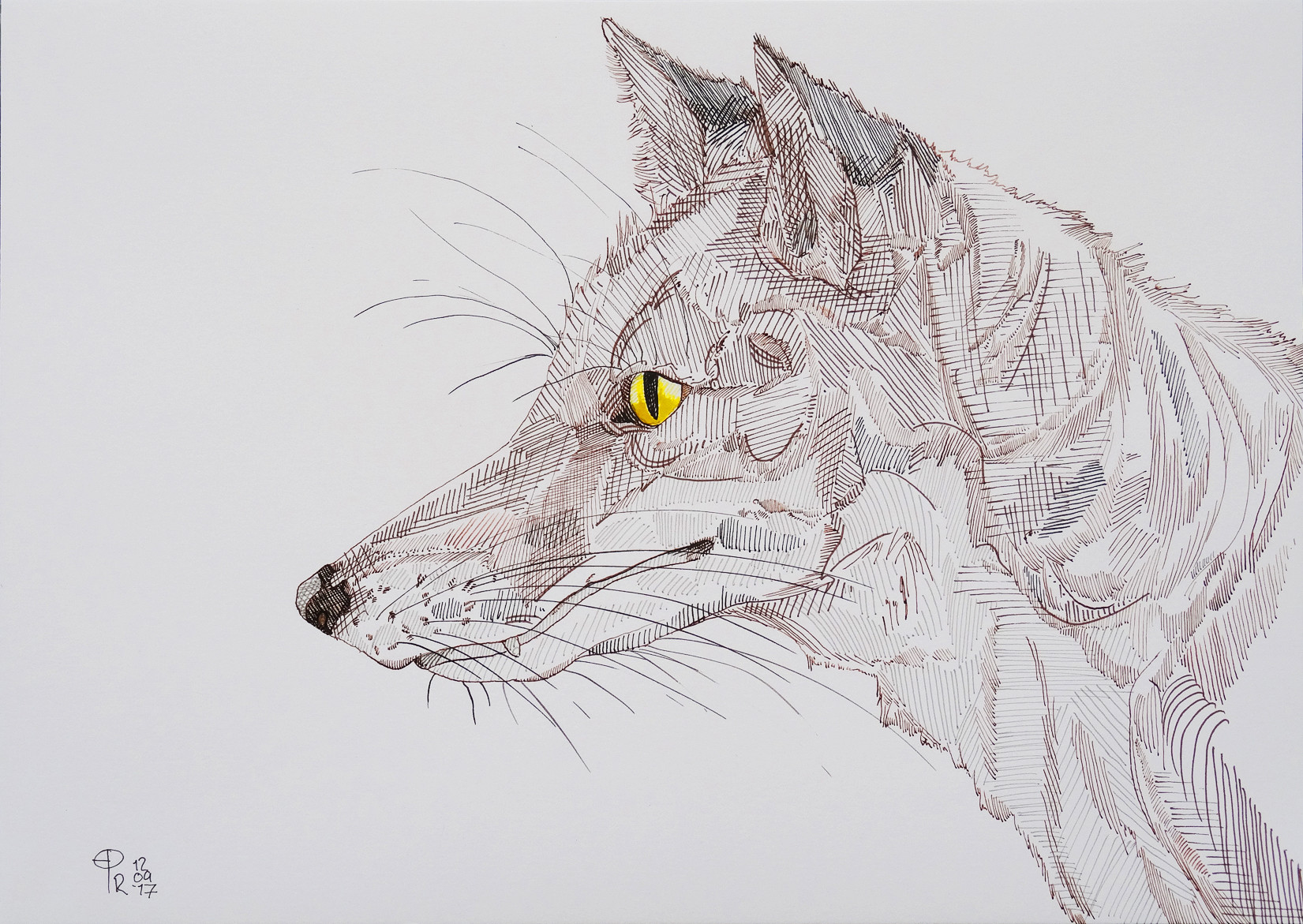 ArtStation - Inked Fox