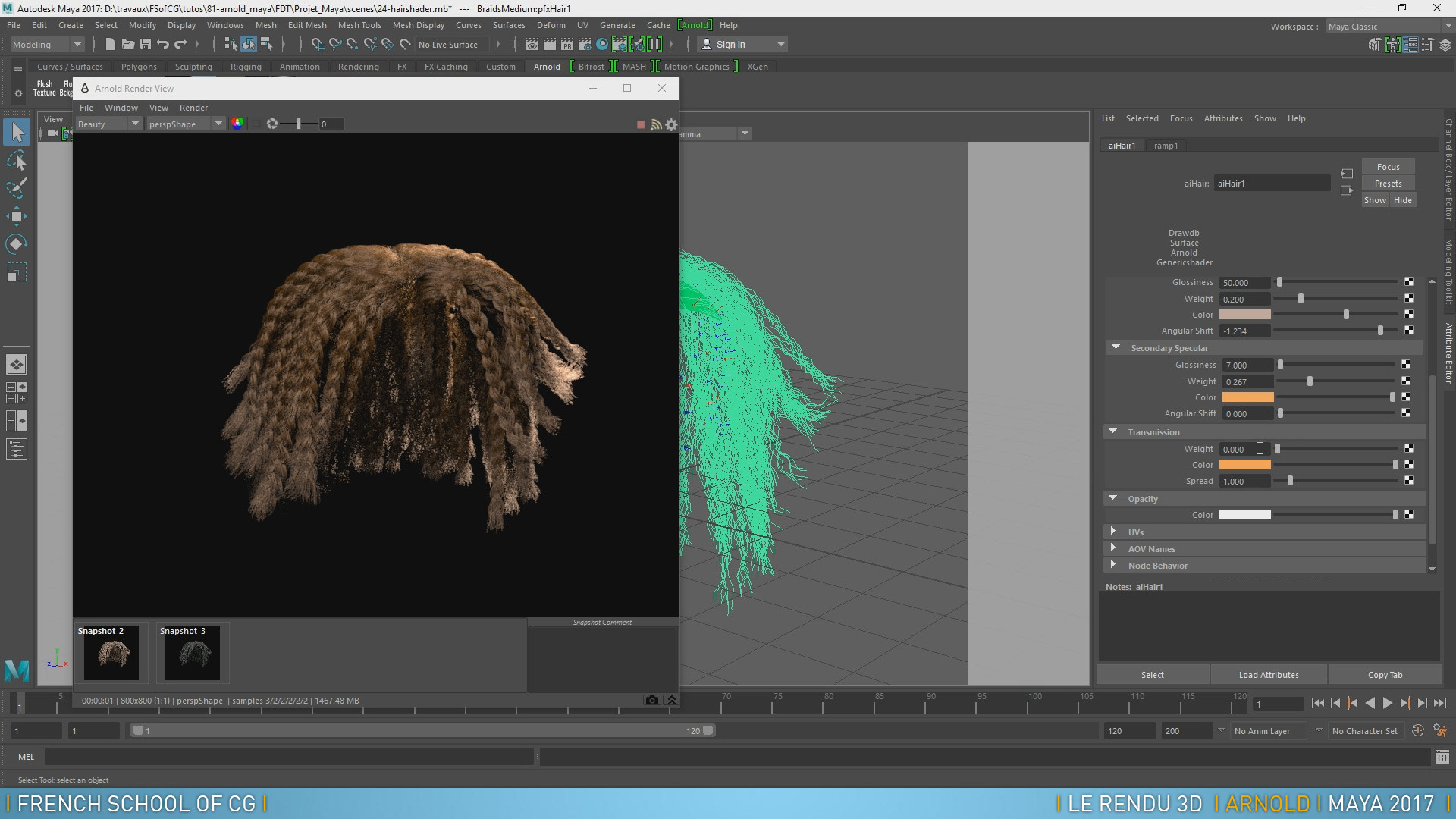 French School of CG - Arnold training videos