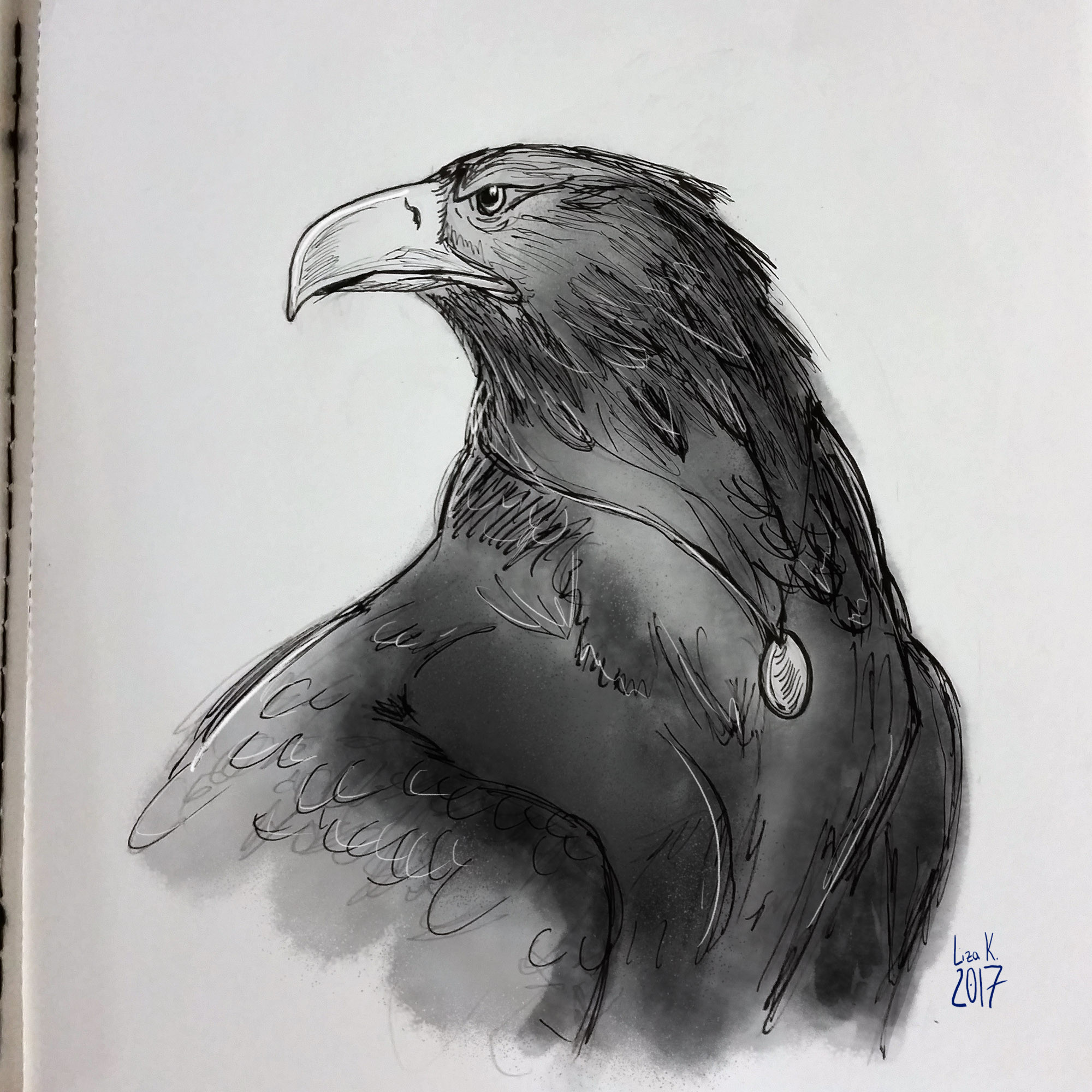 how to draw earth eagle