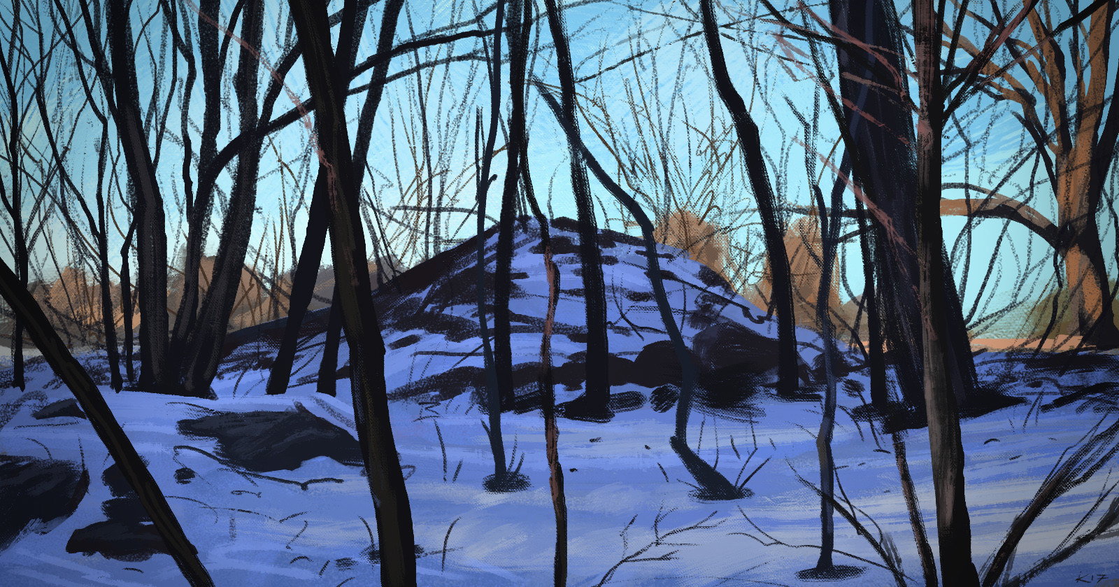 Peter König - EnvStudies