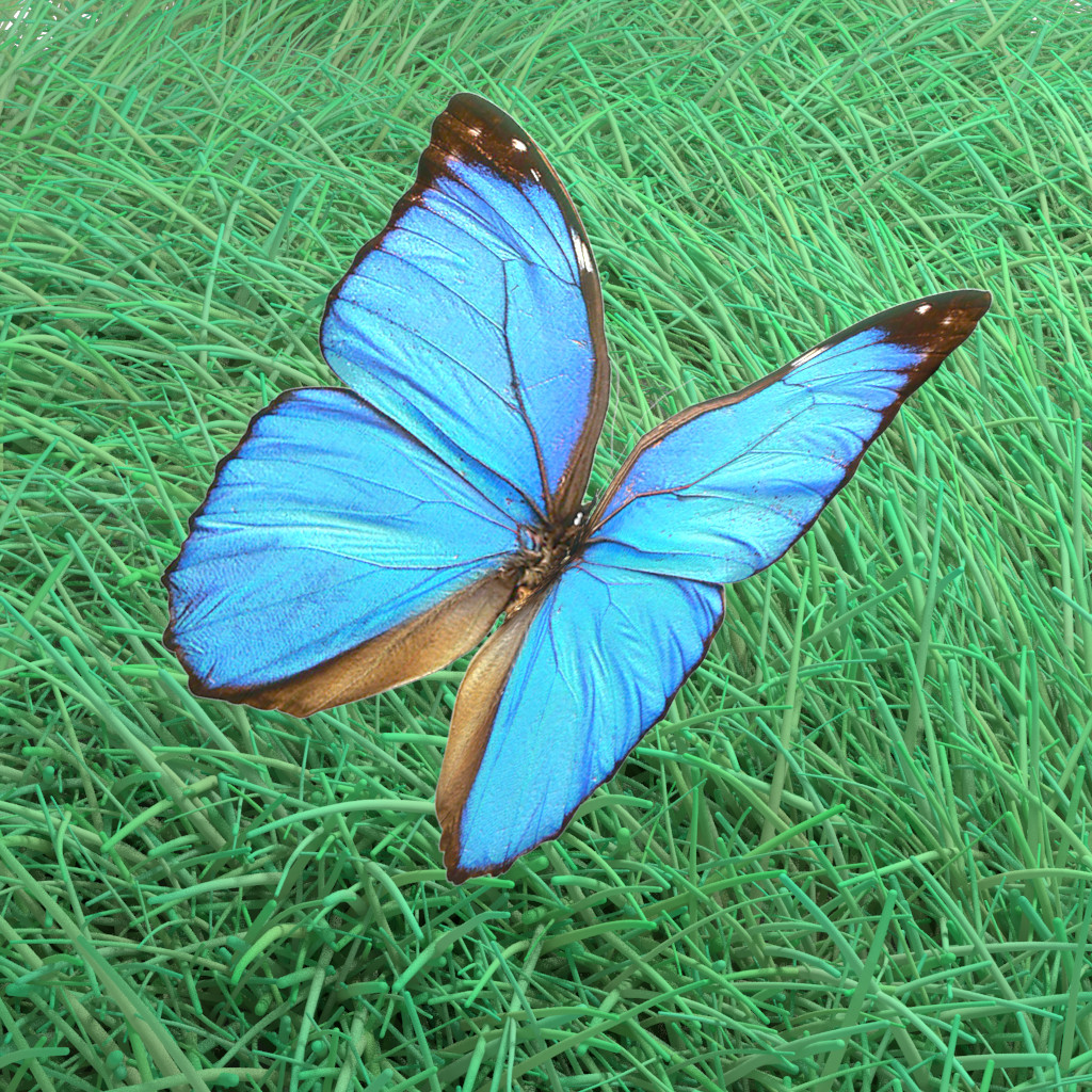 ArtStation - [3D Model] Butterfly