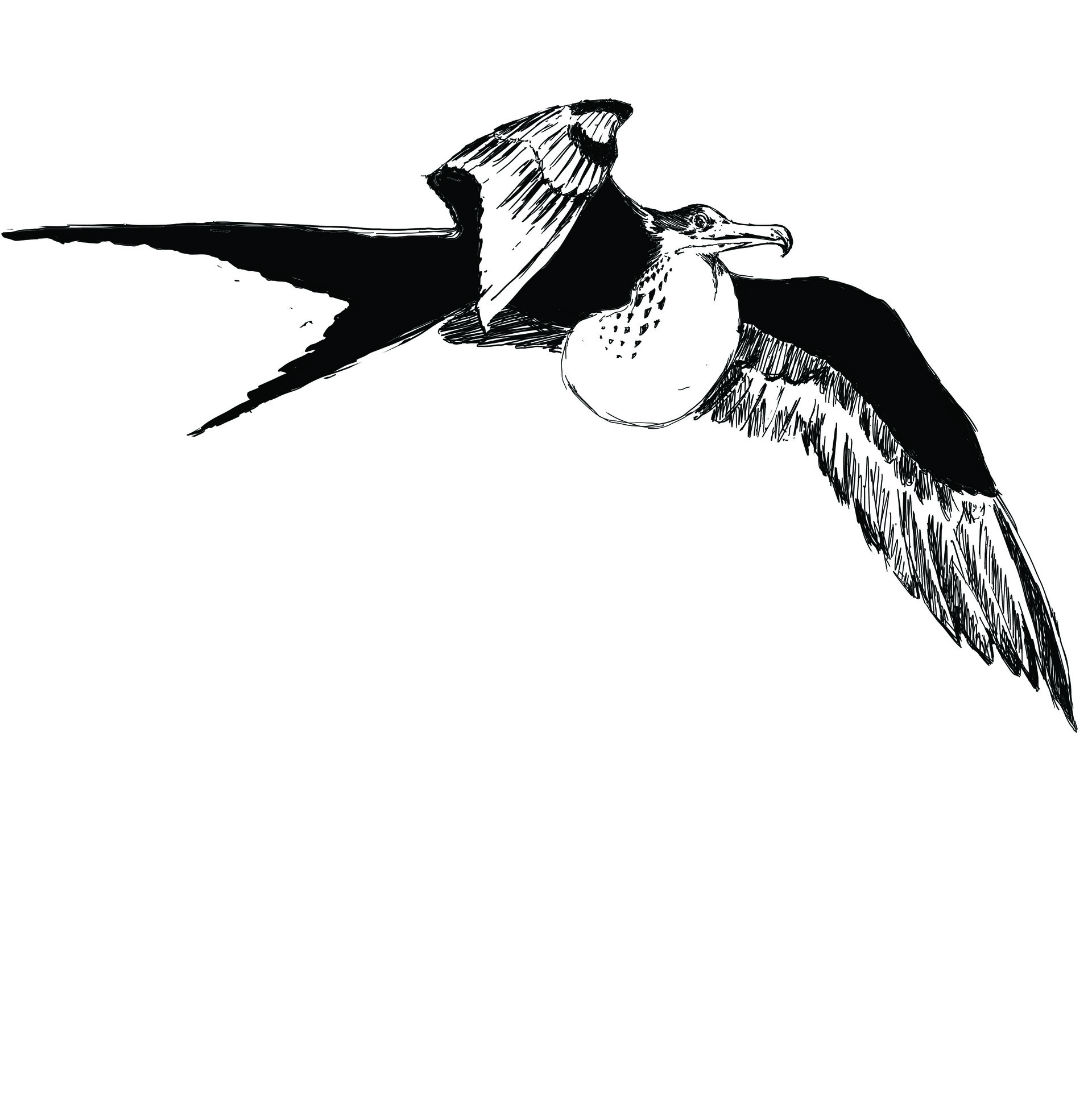 Devin Oishi - Kauikeaouli