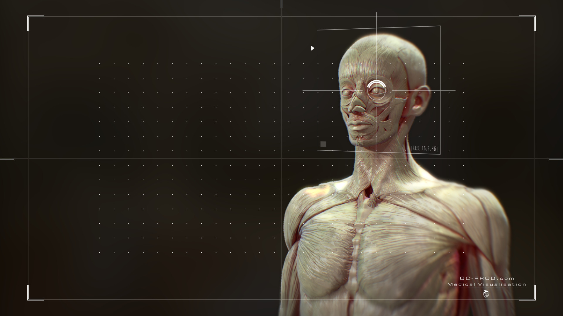 ArtStation - Anatomy
