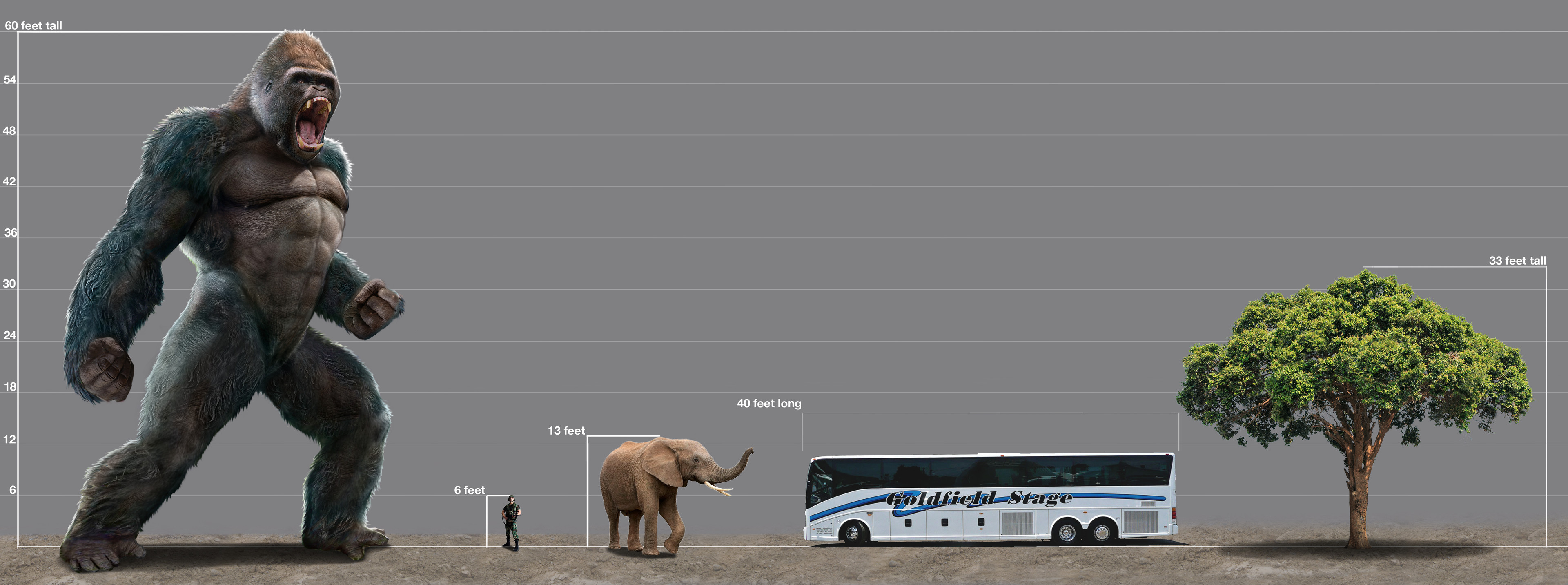 Alfonso de la Torre - Kong, Skull Island
