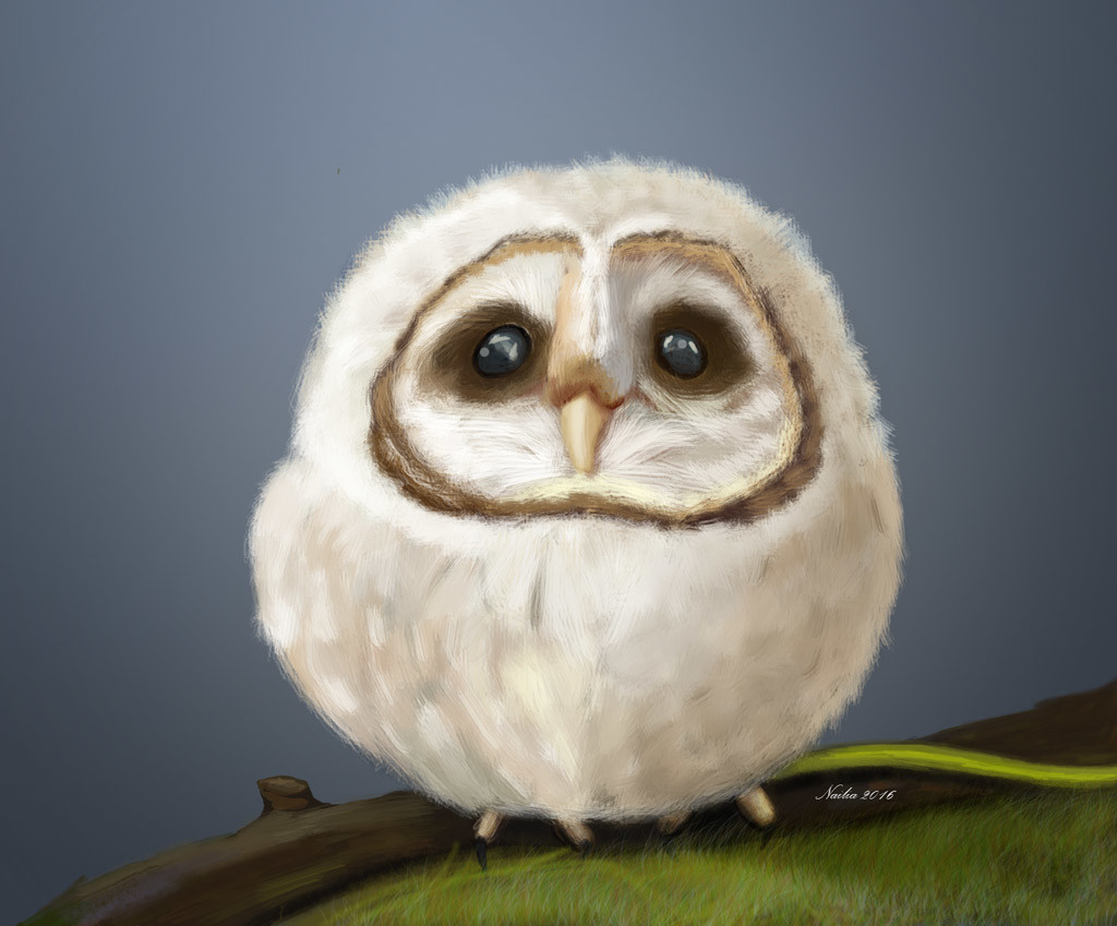 ArtStation - A little owl