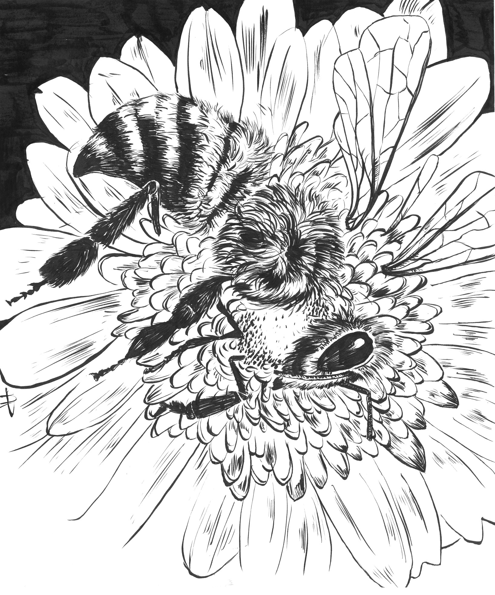 ArtStation - Divided