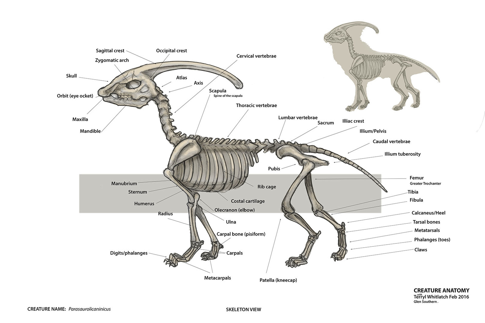 Glen Southern - Creature Anatomy