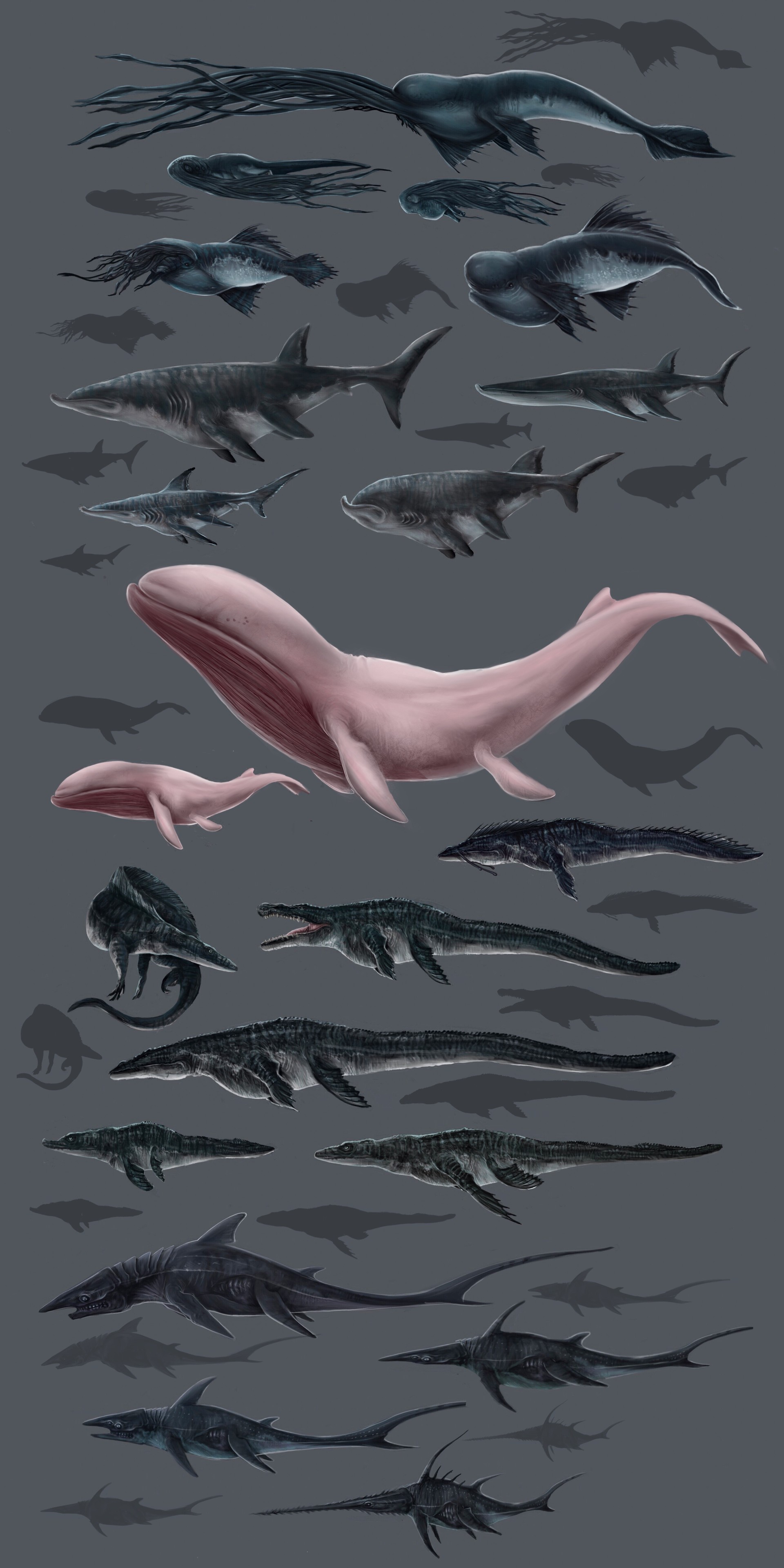 Sea Creature Designs