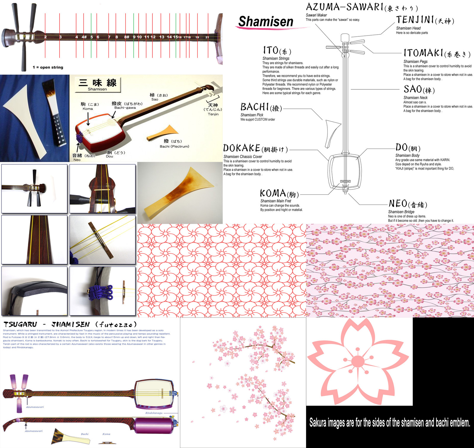 Maria Rivera - Japanese Sakura Shamisen.