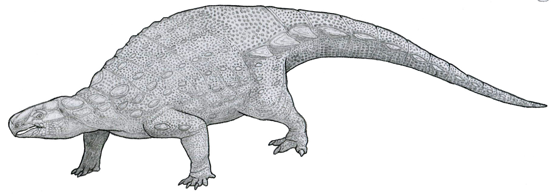 Tom Parker - Dinosaur Fauna of the Wonthaggi Formation