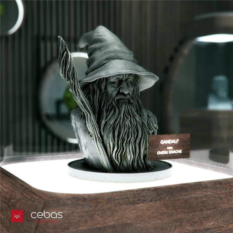 Cedar TW - Cebas.com--Pandelescu.com finalRender launch project concept art