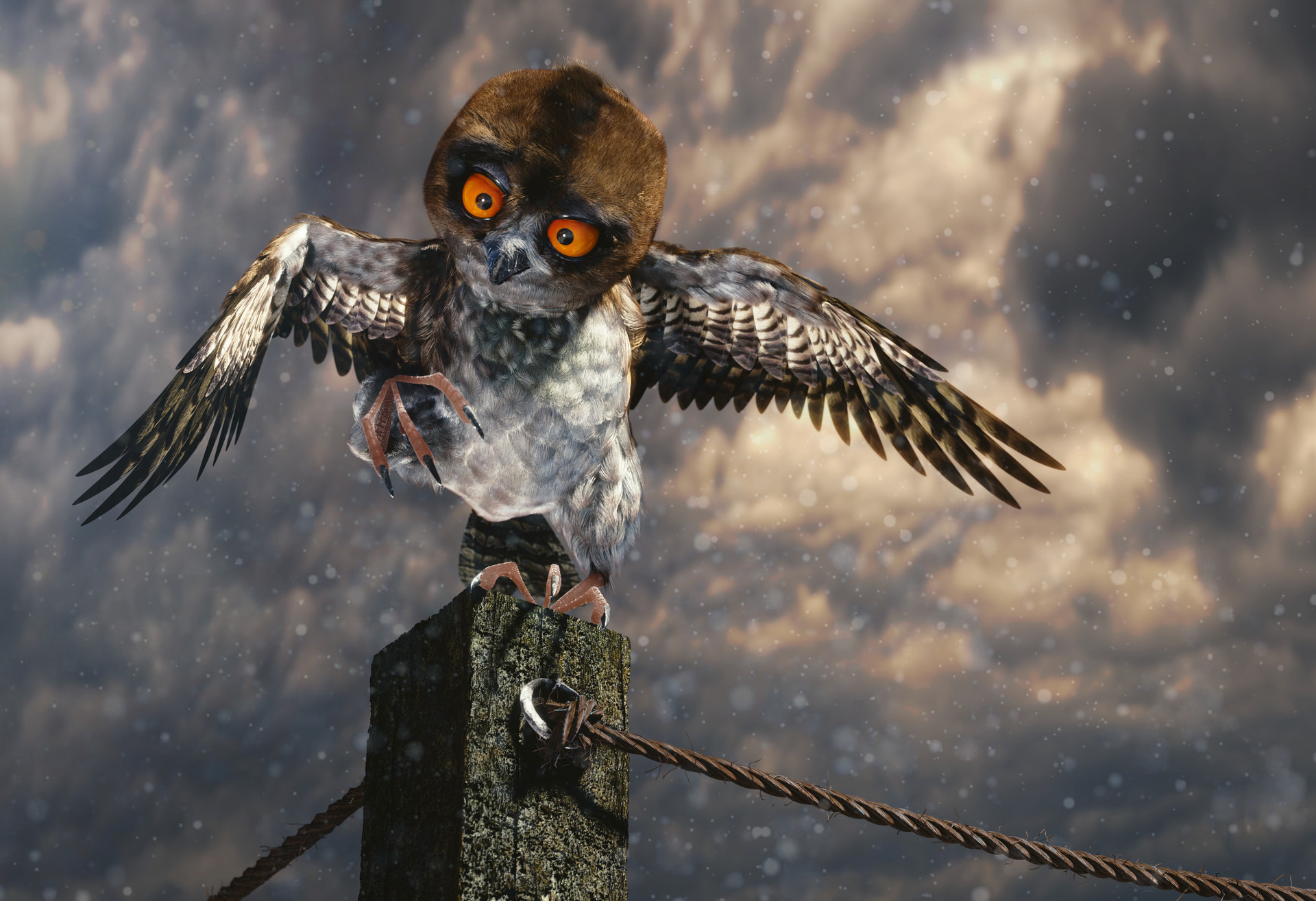 ArtStation - Owl Character Design