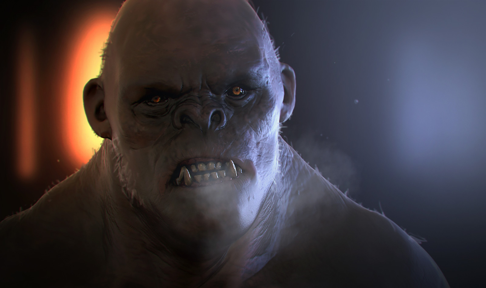 Stuart Ellis - Taylor