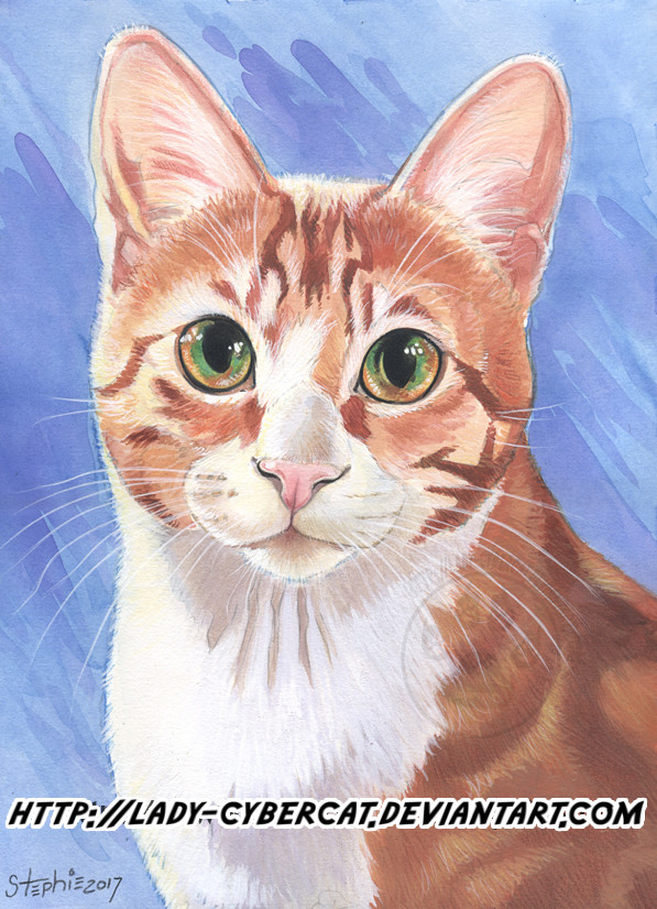ArtStation - Orange Cat Pet Portrait
