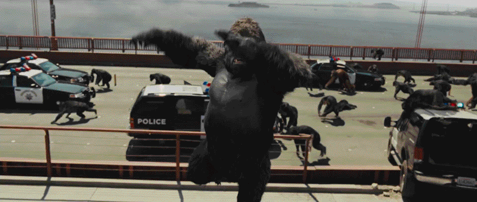 Rise Of The Apes Gorilla