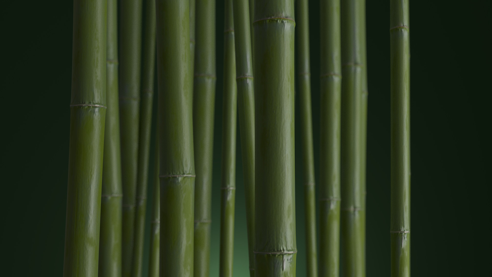 ArtStation - Bamboo