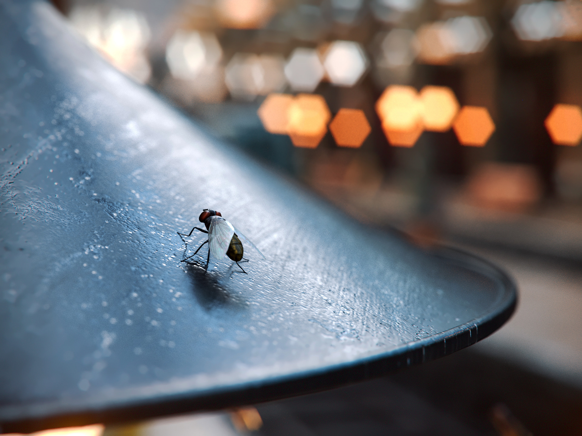 ArtStation - Fly closeup