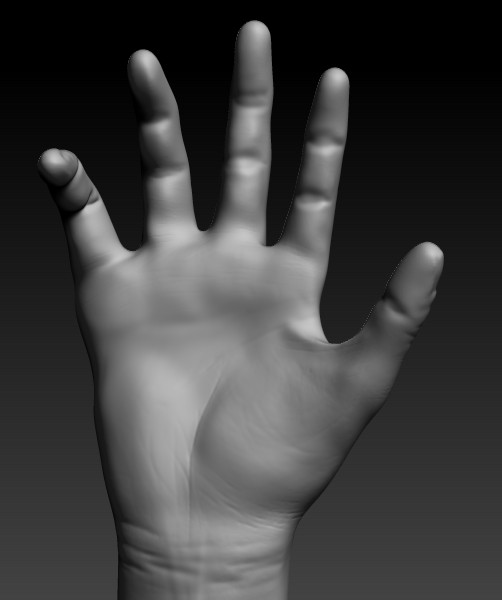 ArtStation - Young Hand Model