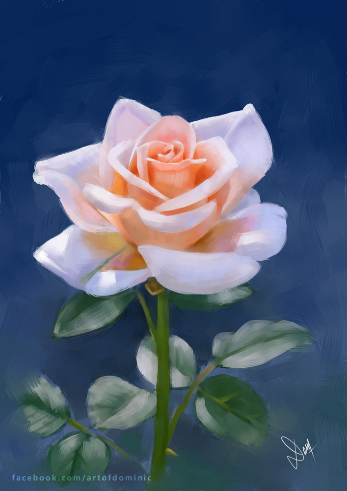 ArtStation - Rose painting