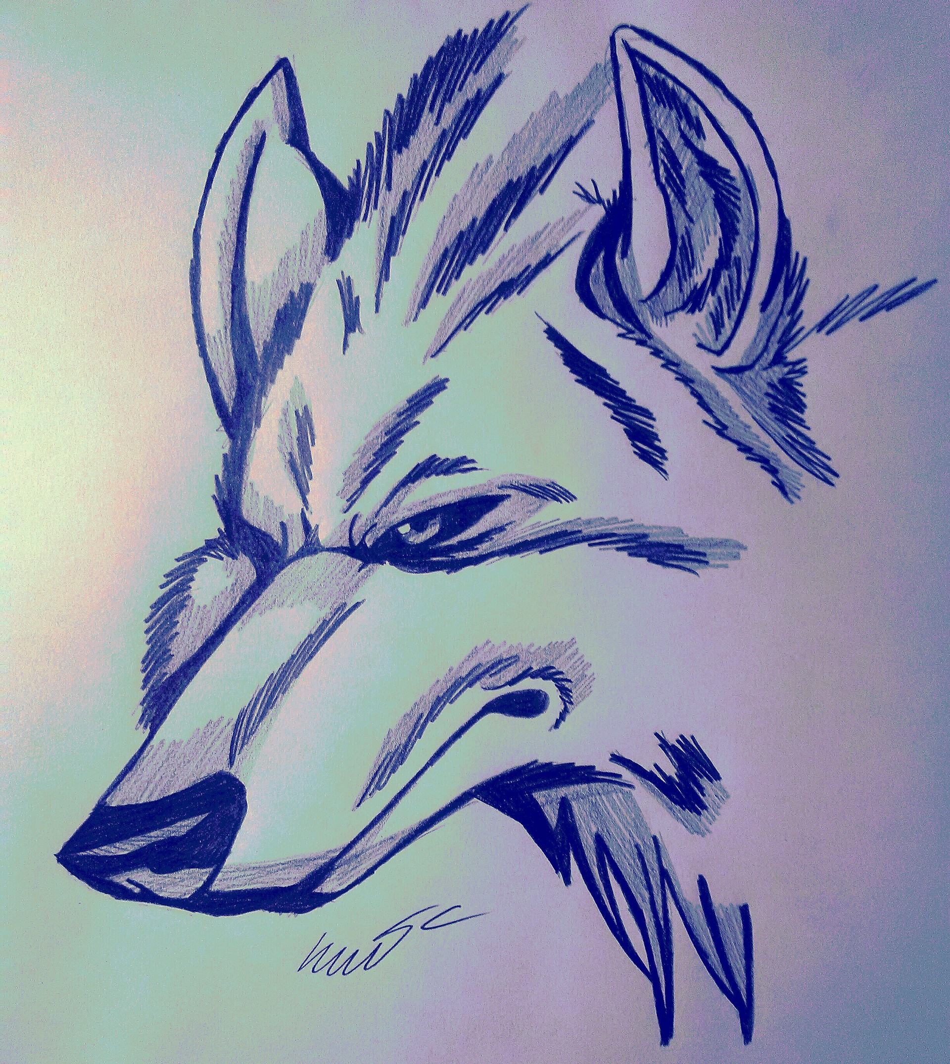 ArtStation - Wolf
