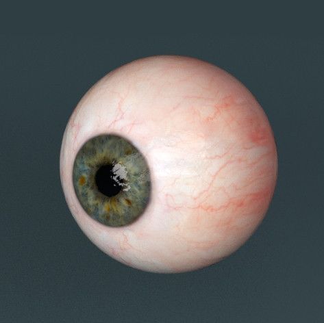 ArtStation - Human Eye Study