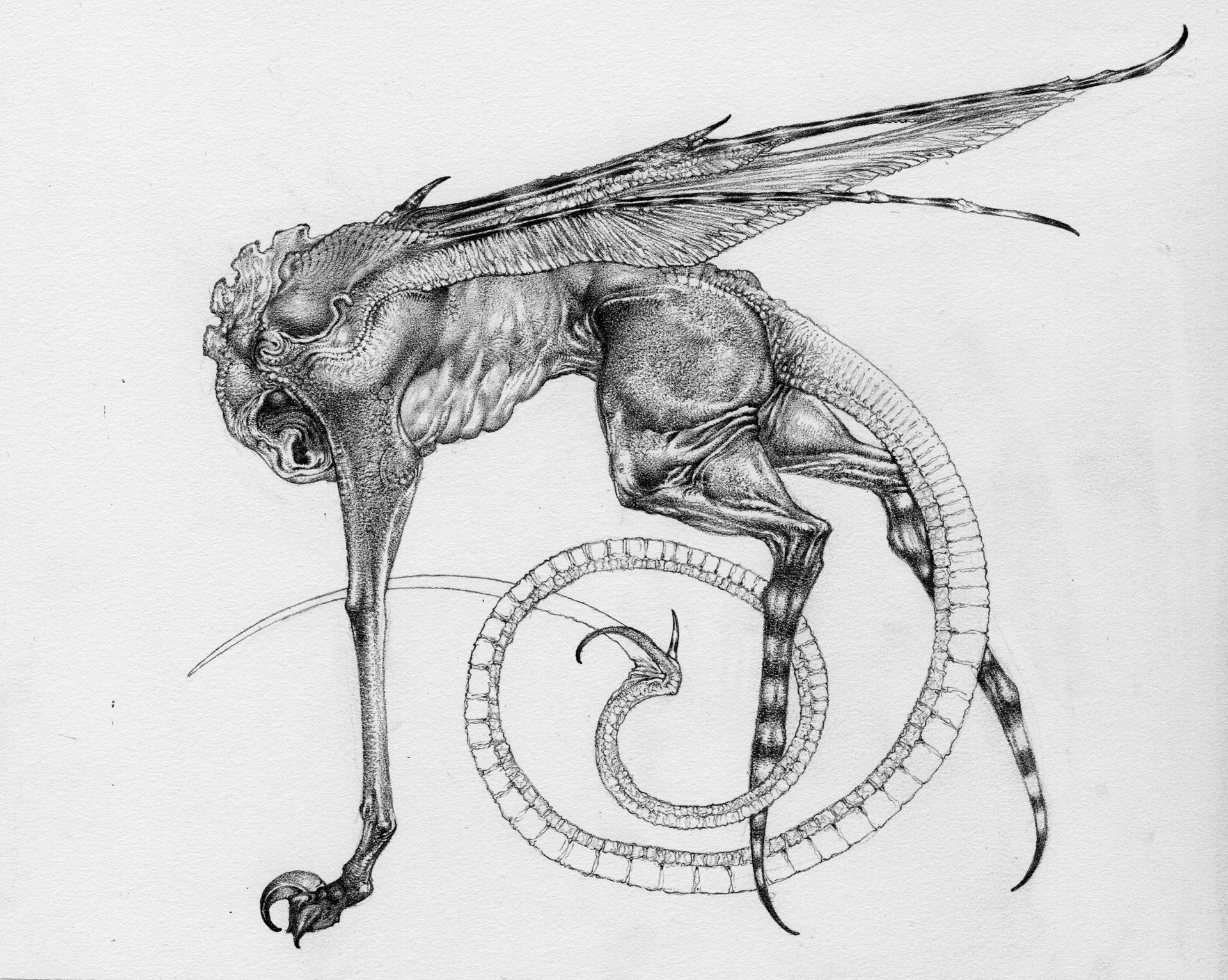 Allen Williams - Some Recent drawings...