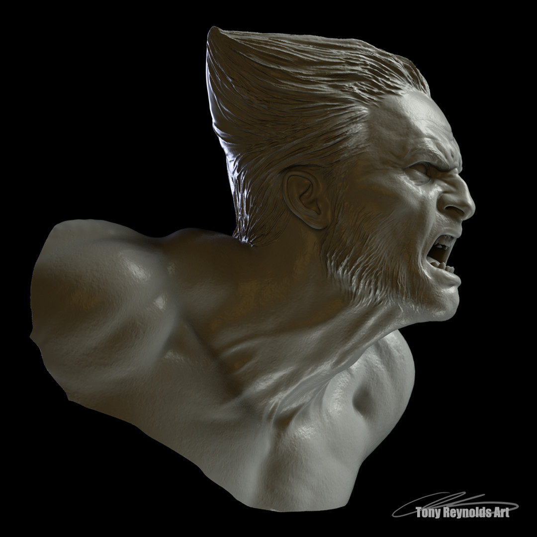 ArtStation - Wolverine Speed Sculpt