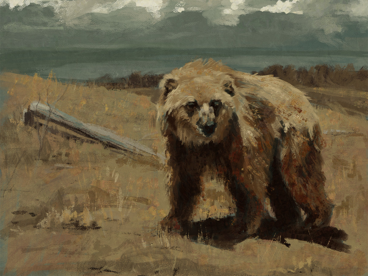Jared Simeth - Grizzly, Digital Sketch.