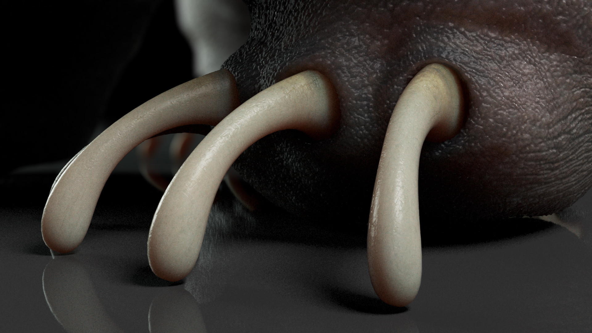 Samuel Enslin - Tardigrade