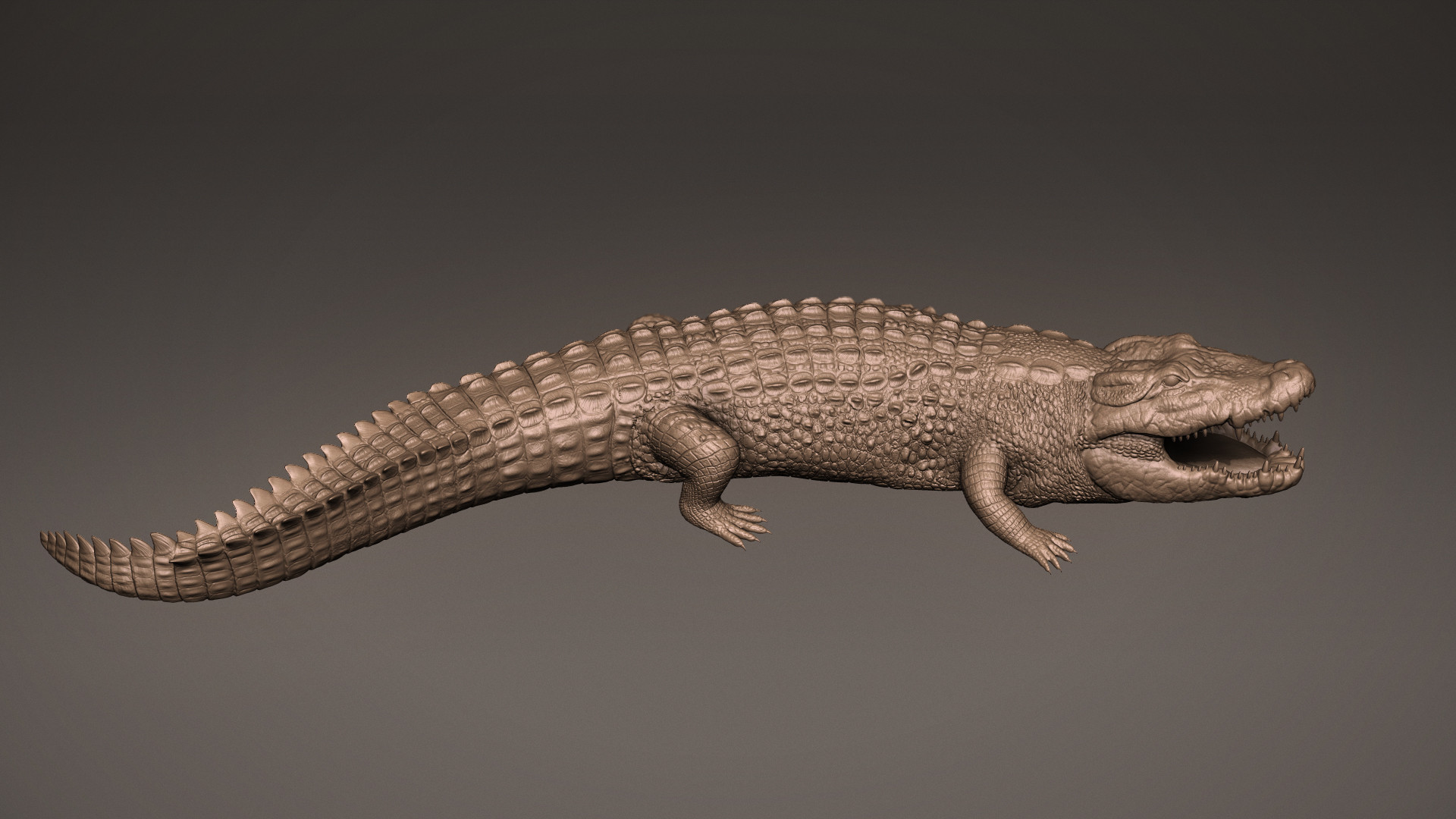 Ivan Kocic - Crocodile