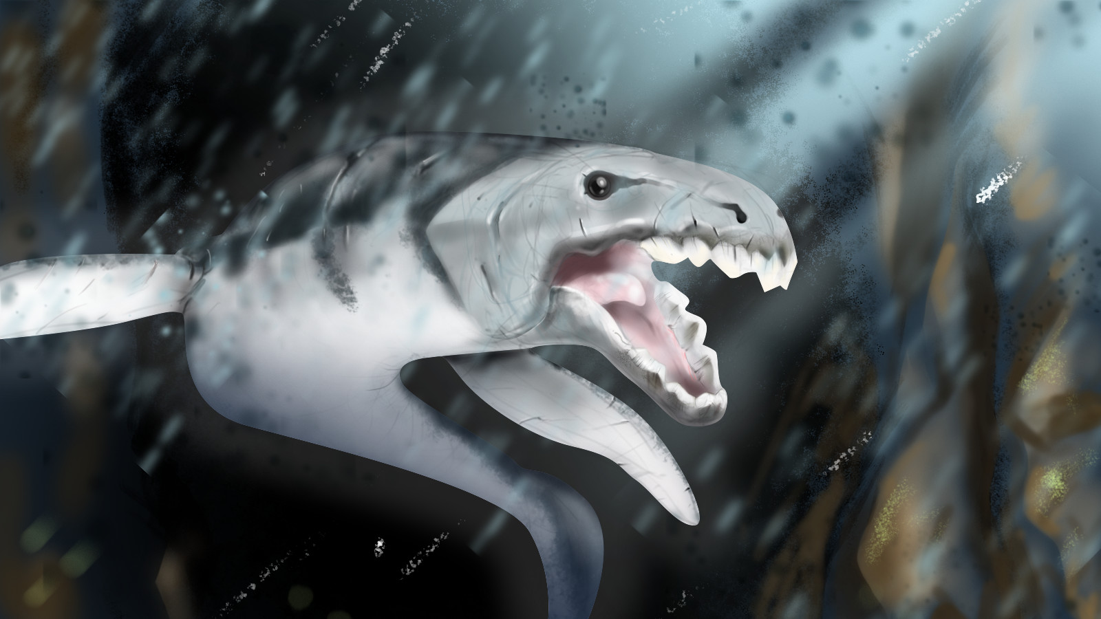 Daniela Morescalchi - Honeycomb