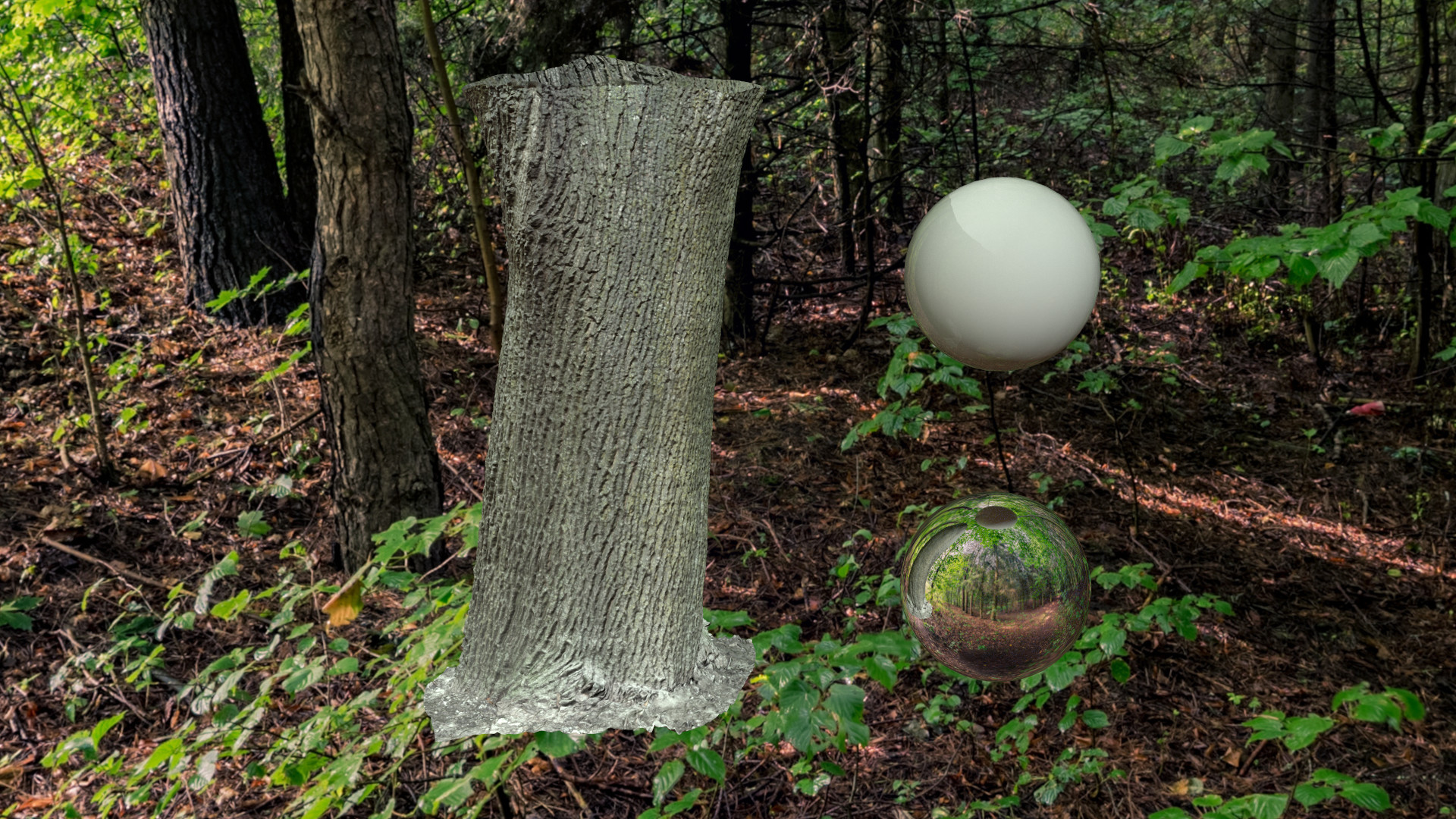 ArtStation - Photogrammetry Tree and Bark