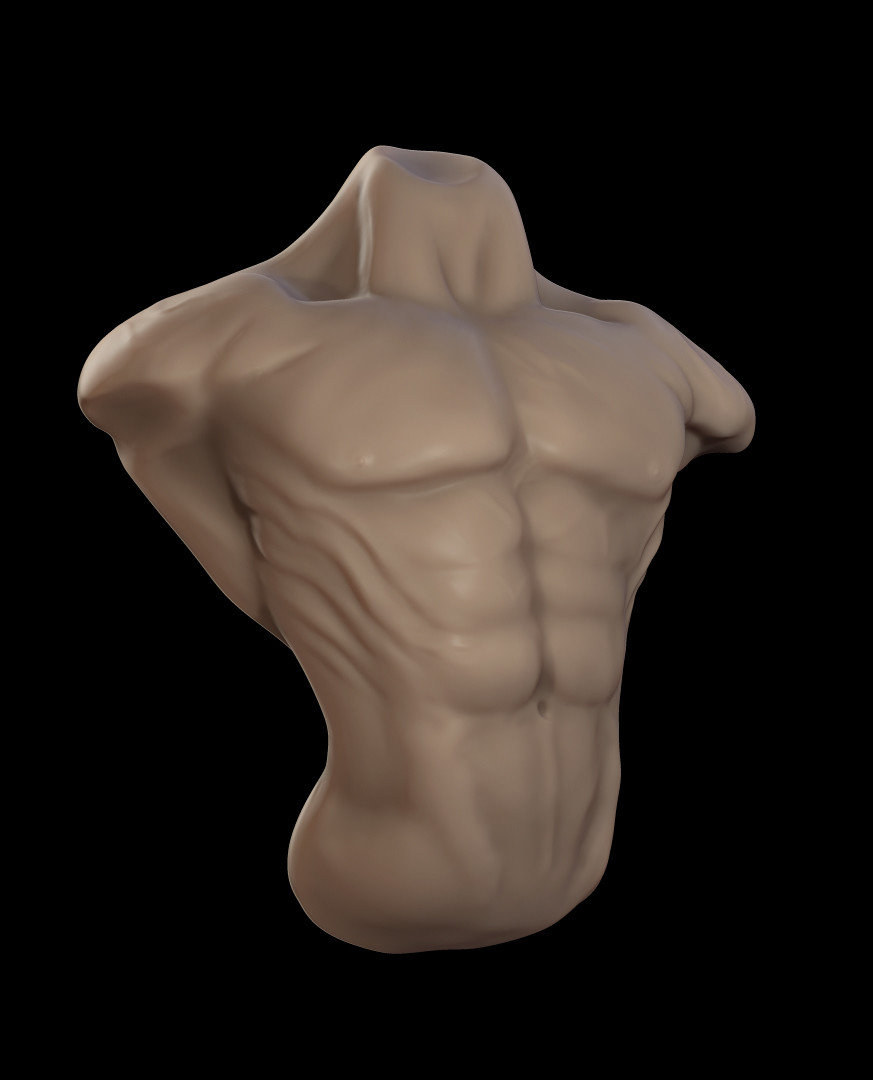 ArtStation - Male Torso