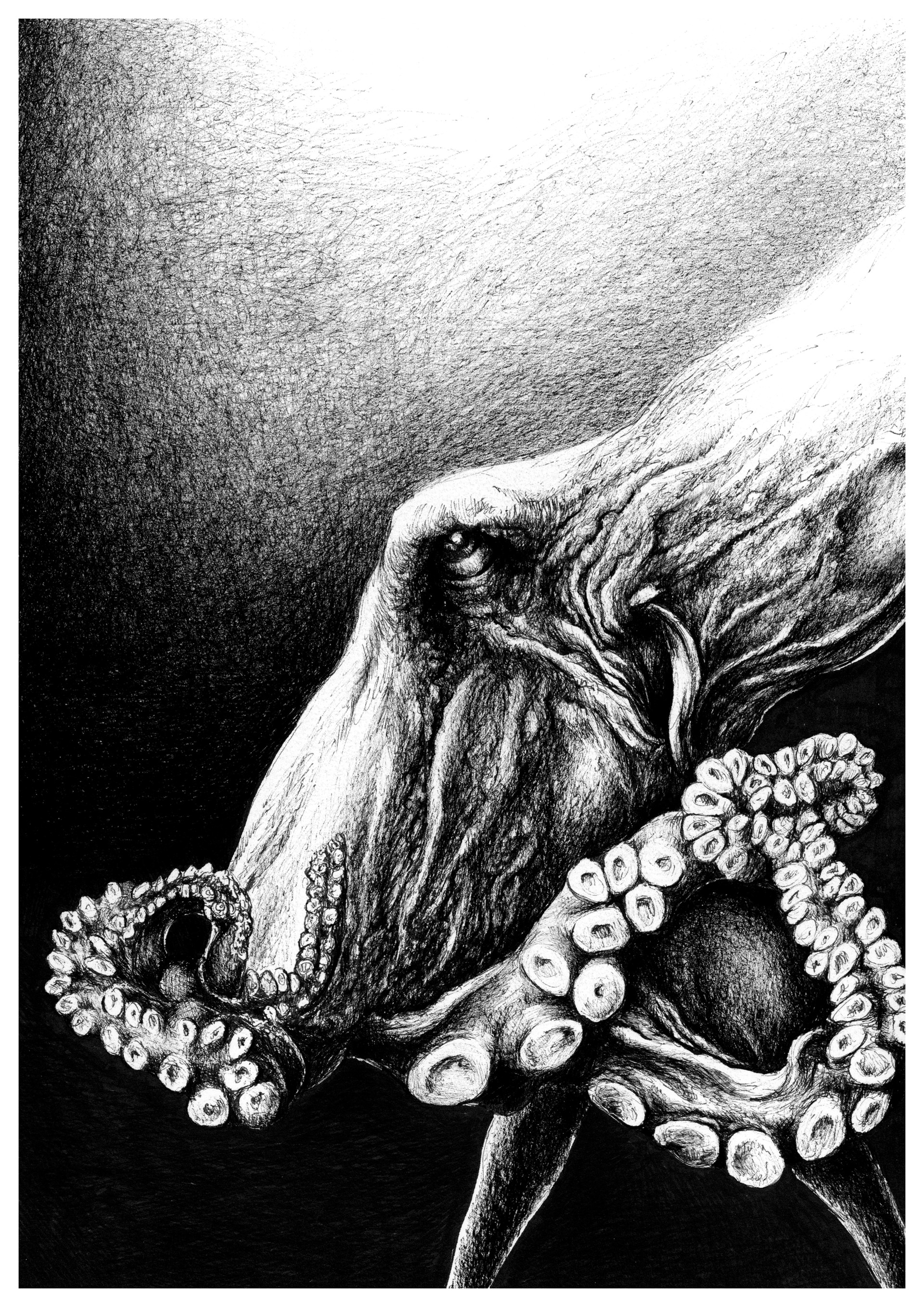 ArtStation - Octopus