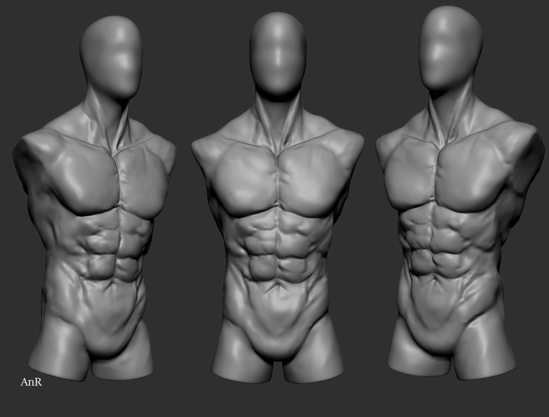 ArtStation - Torso Study