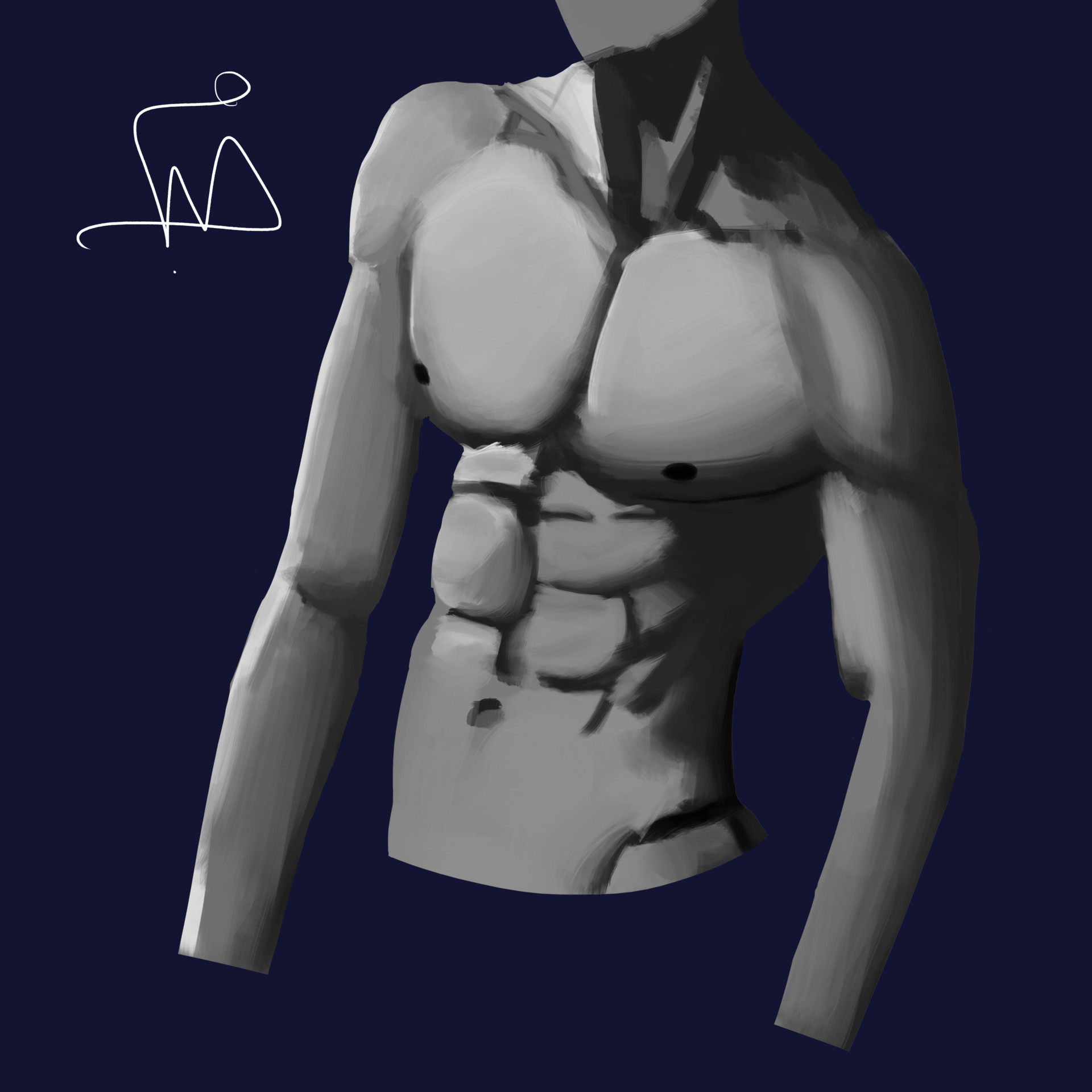 ArtStation - Male torso study 2