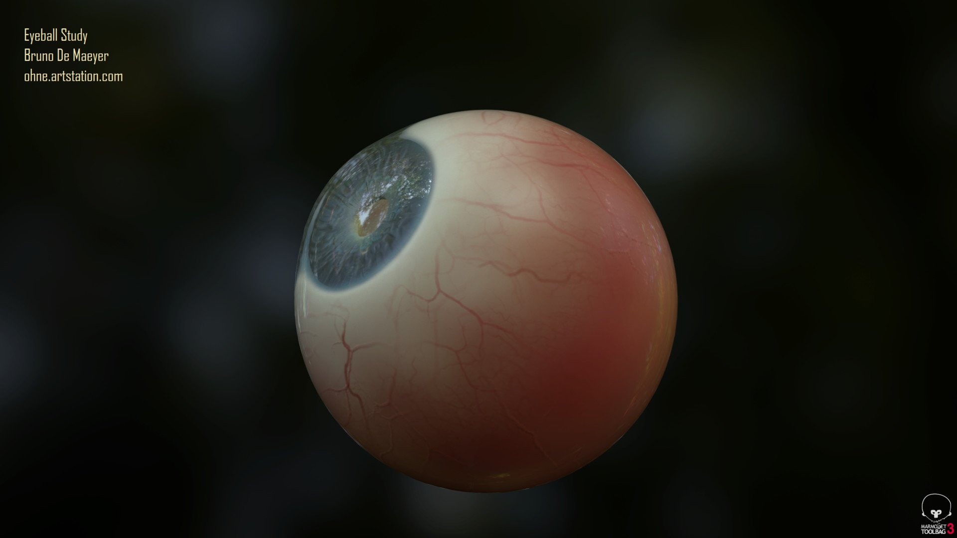 ArtStation - Eyeball Study