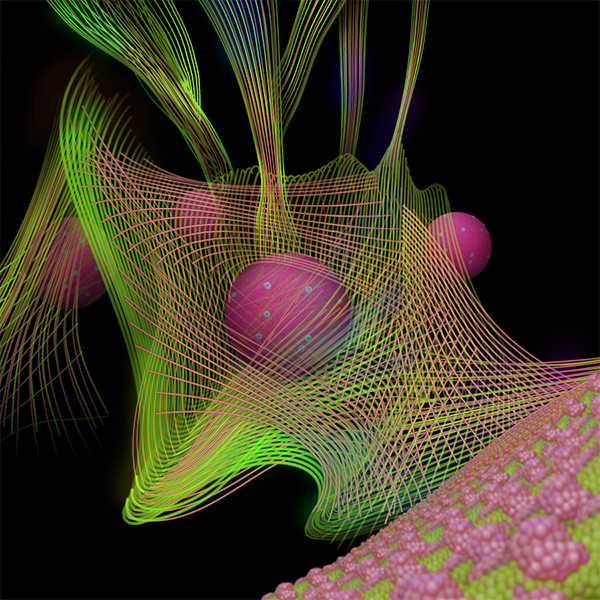 ArtStation - Cytoskeleton Structures, Part 2