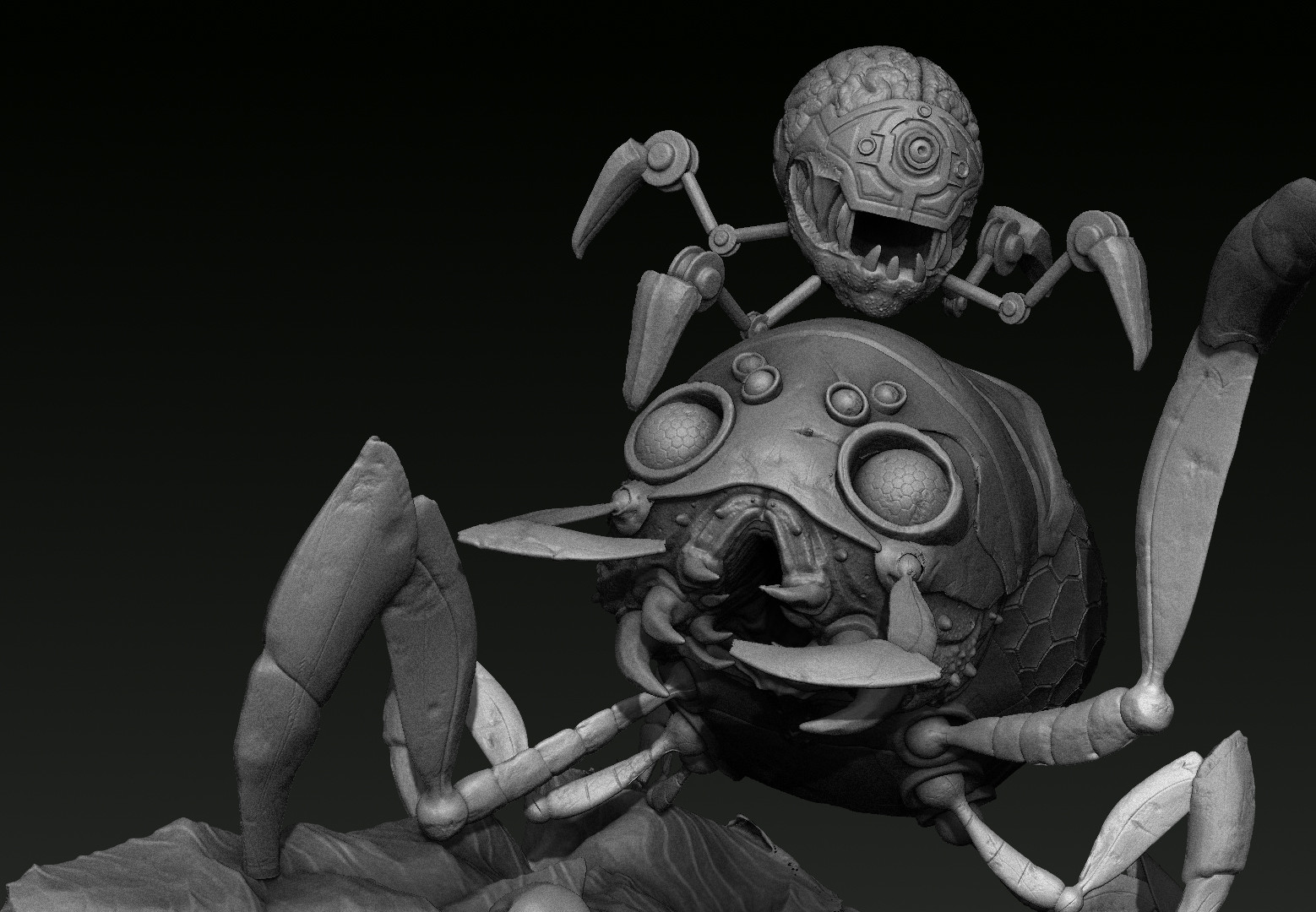 Santiago Stucky - Little spiders Arakna