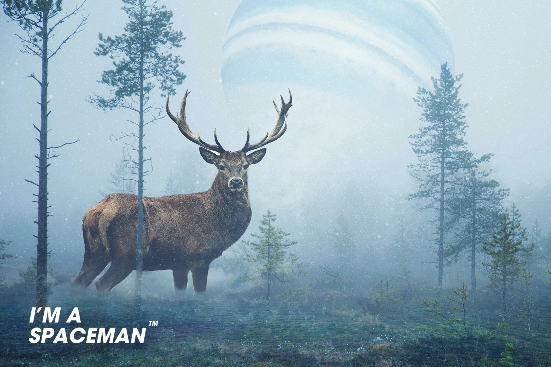 ArtStation - I'm spaceman 7.12.19