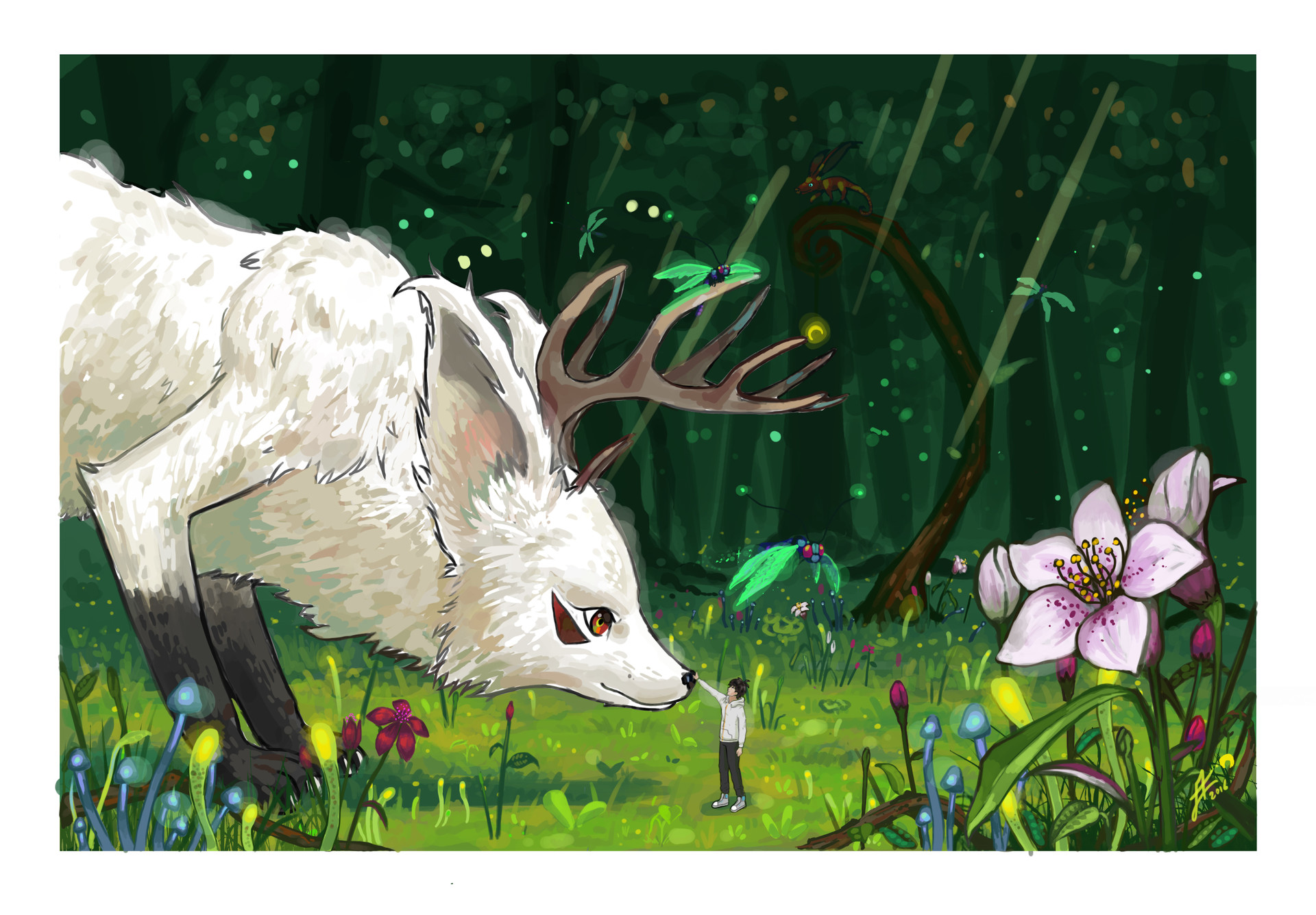 how to draw a deer fox