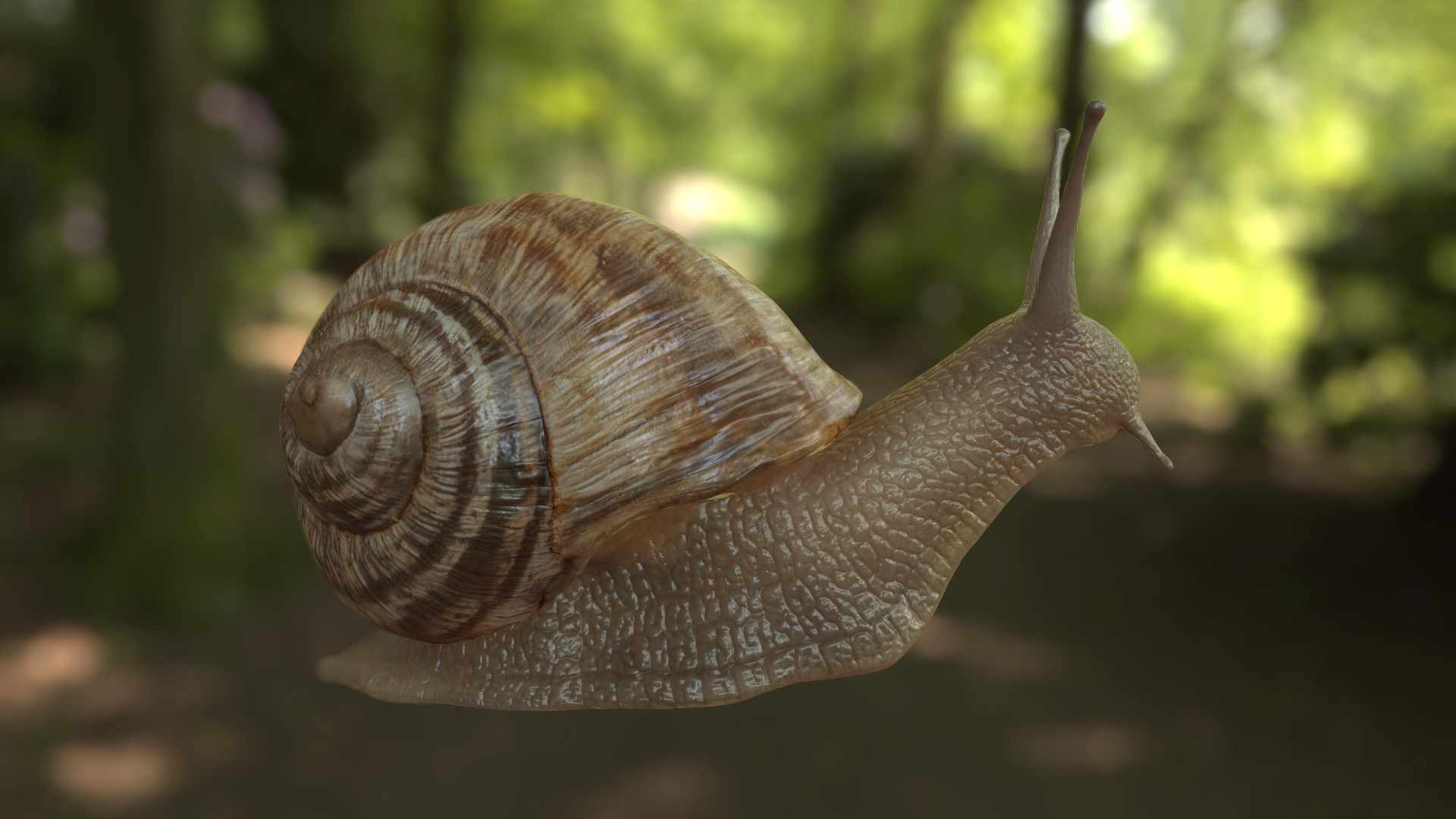 ArtStation - Snail
