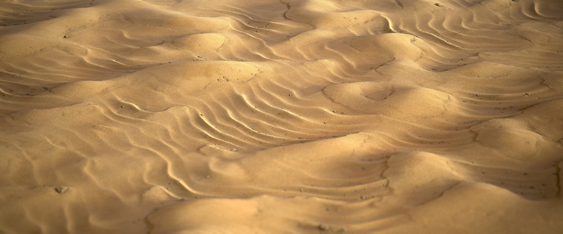 Daniel Thiger - Desert Sand Dune