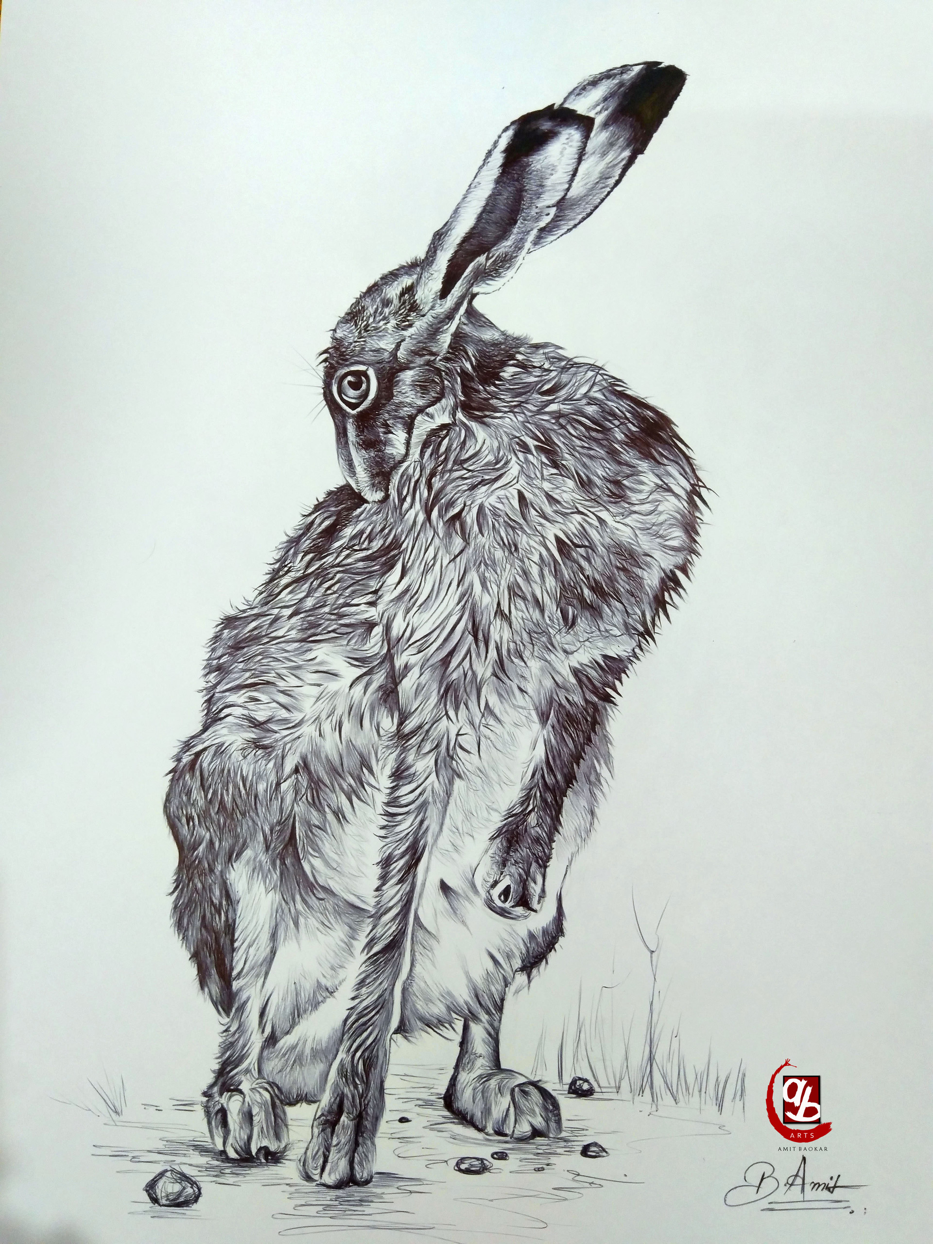 ArtStation - Black Hare