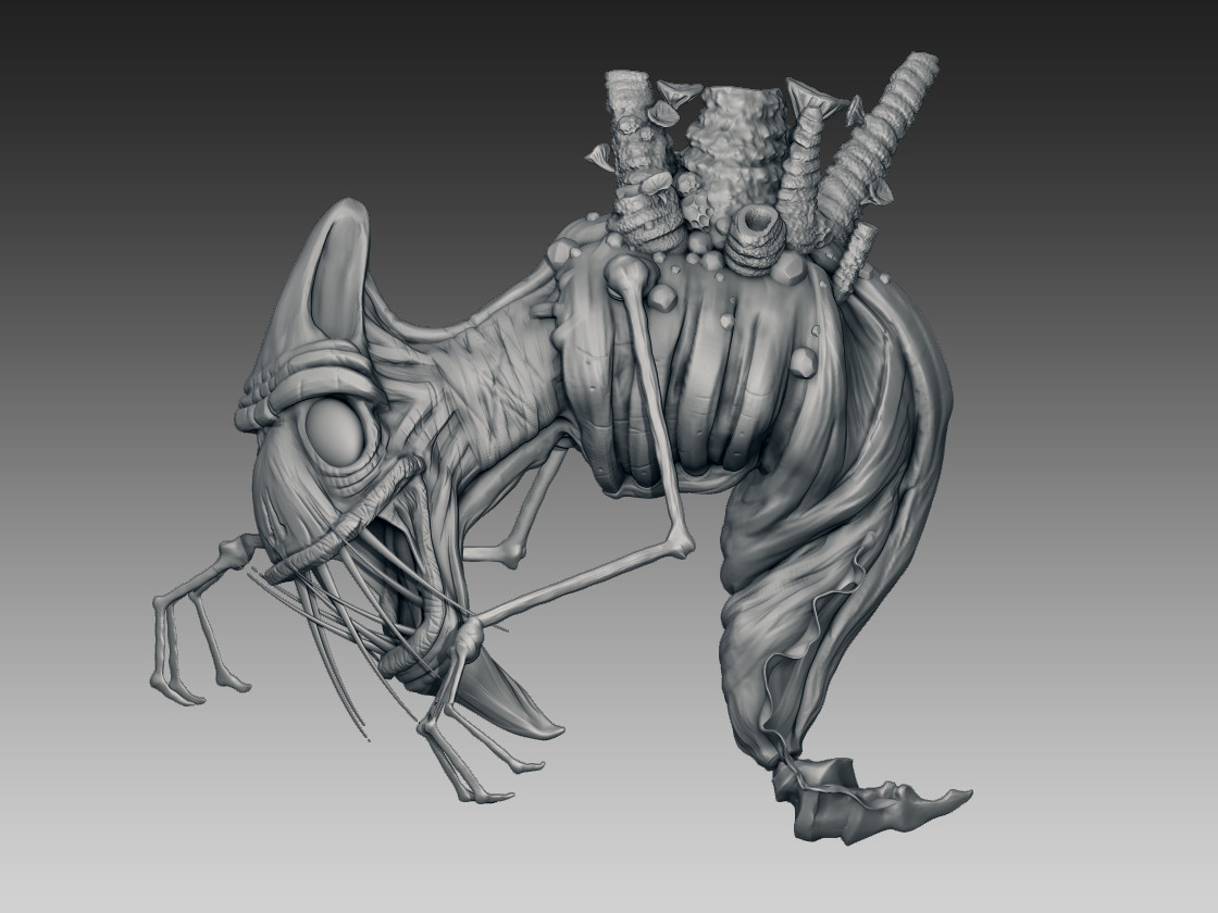 Albert FAURY - Soldeen, the tears lake's guardian